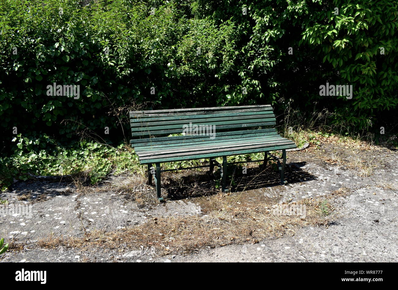 bench, park, forest, landscape, trees Stock Photo - Alamy