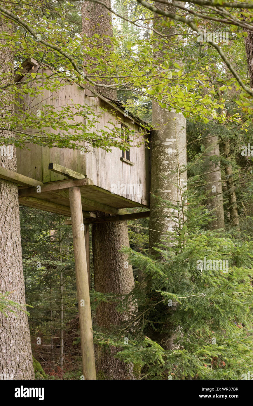 Beautiful wooden tree house on stilts in a fir forest in Switzerland ...