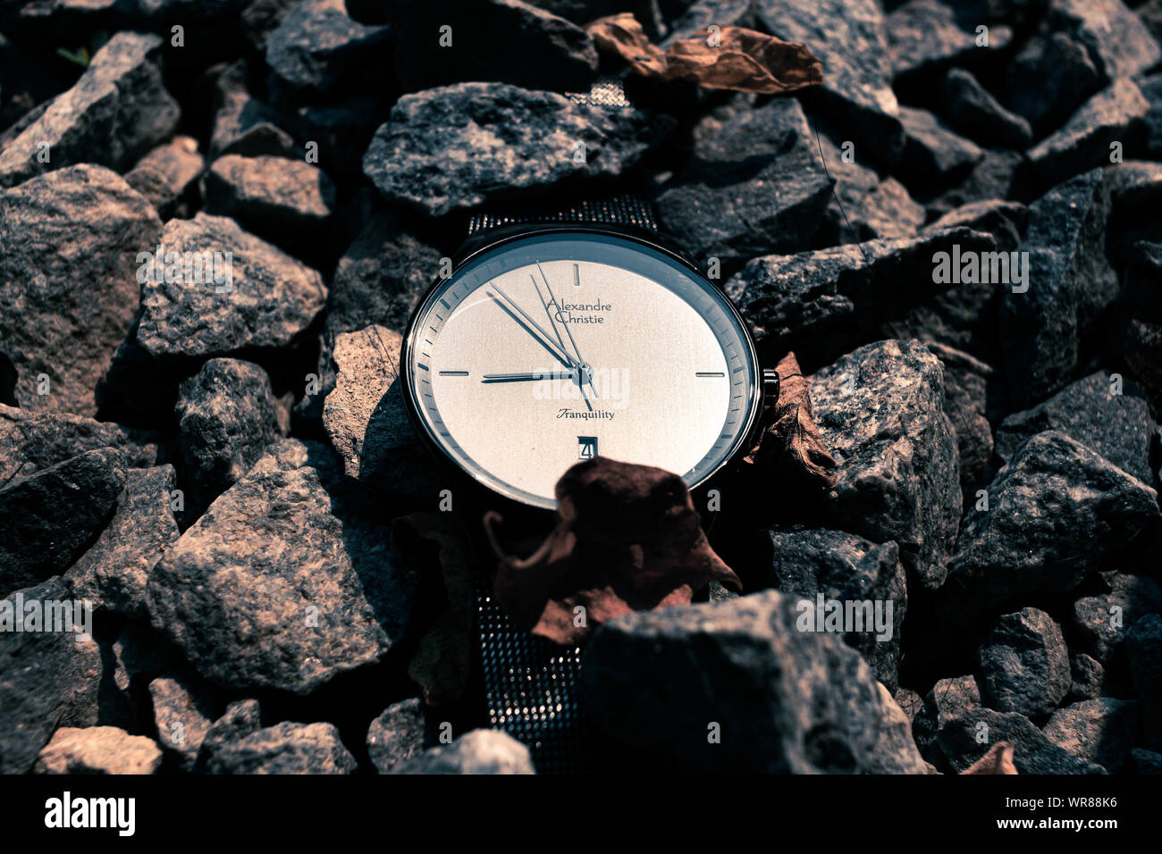 Alexandre Christie Watch on Rocks Stock Photo - Alamy