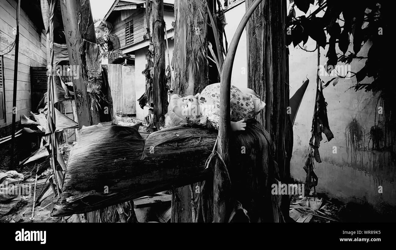 Abandoned doll hi-res stock photography and images - Alamy