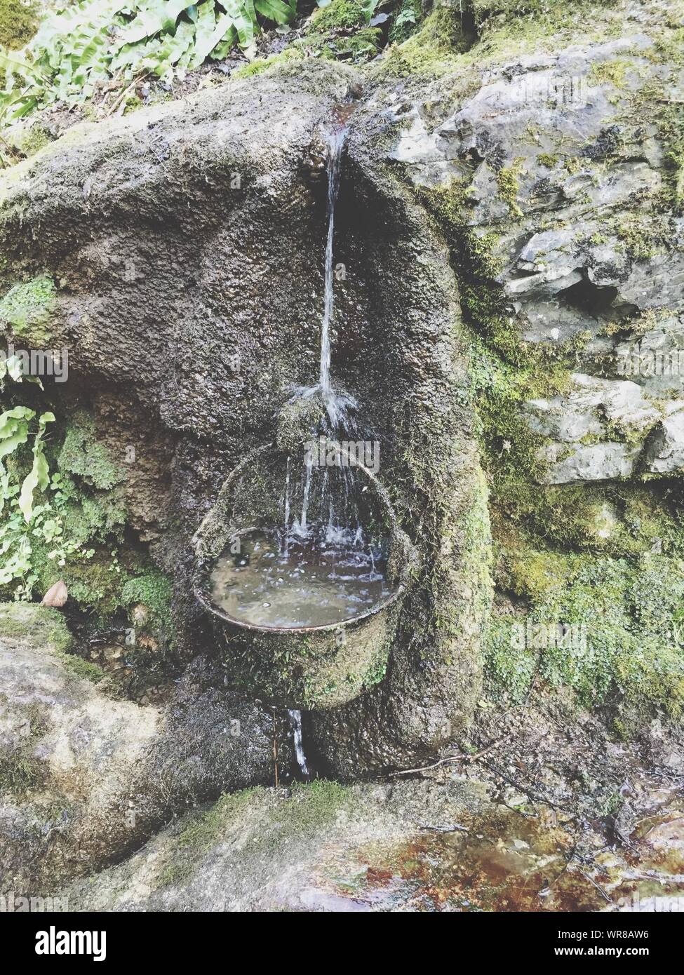 Hanging water bucket hi-res stock photography and images - Alamy