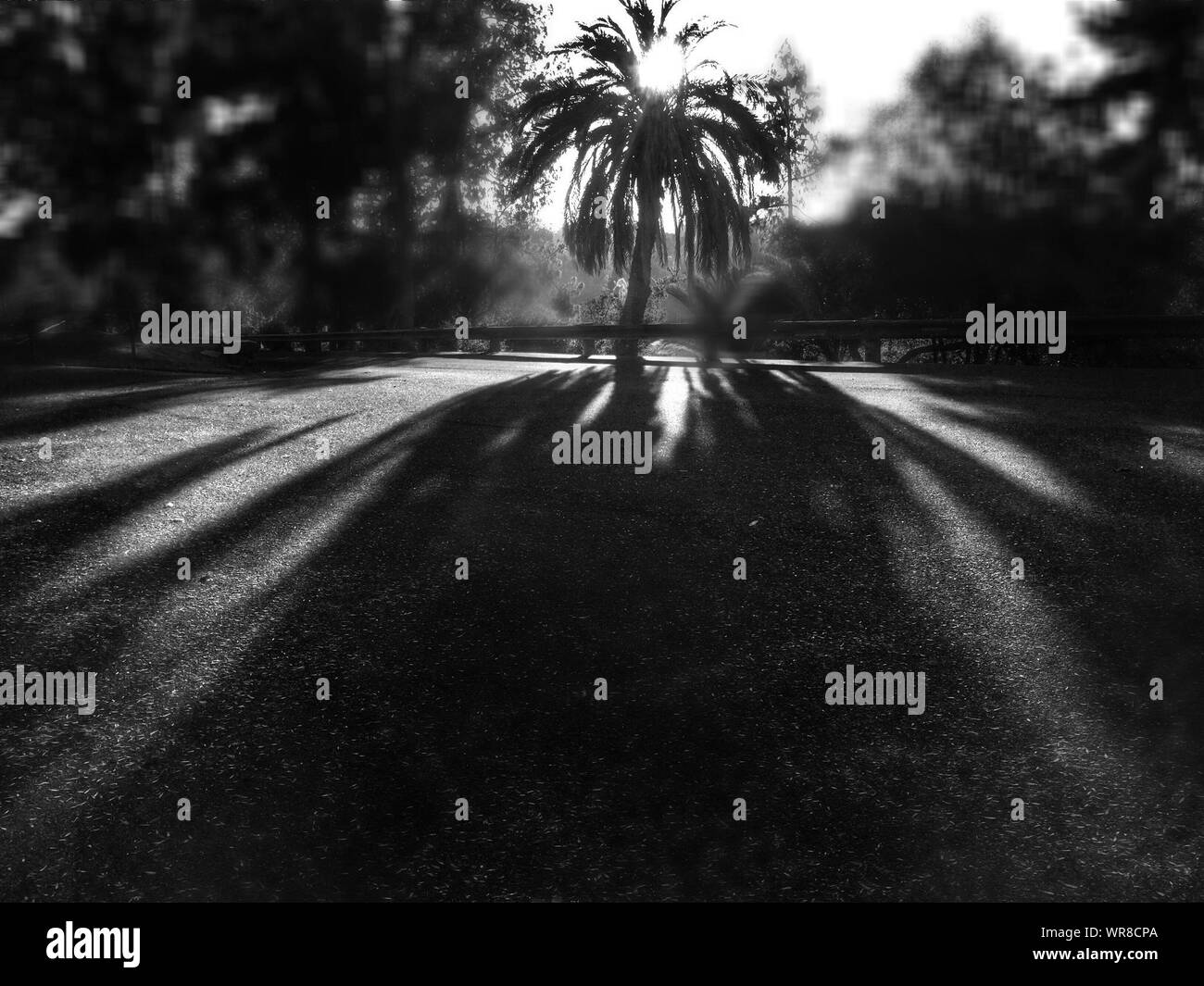Falling road hi-res stock photography and images - Alamy