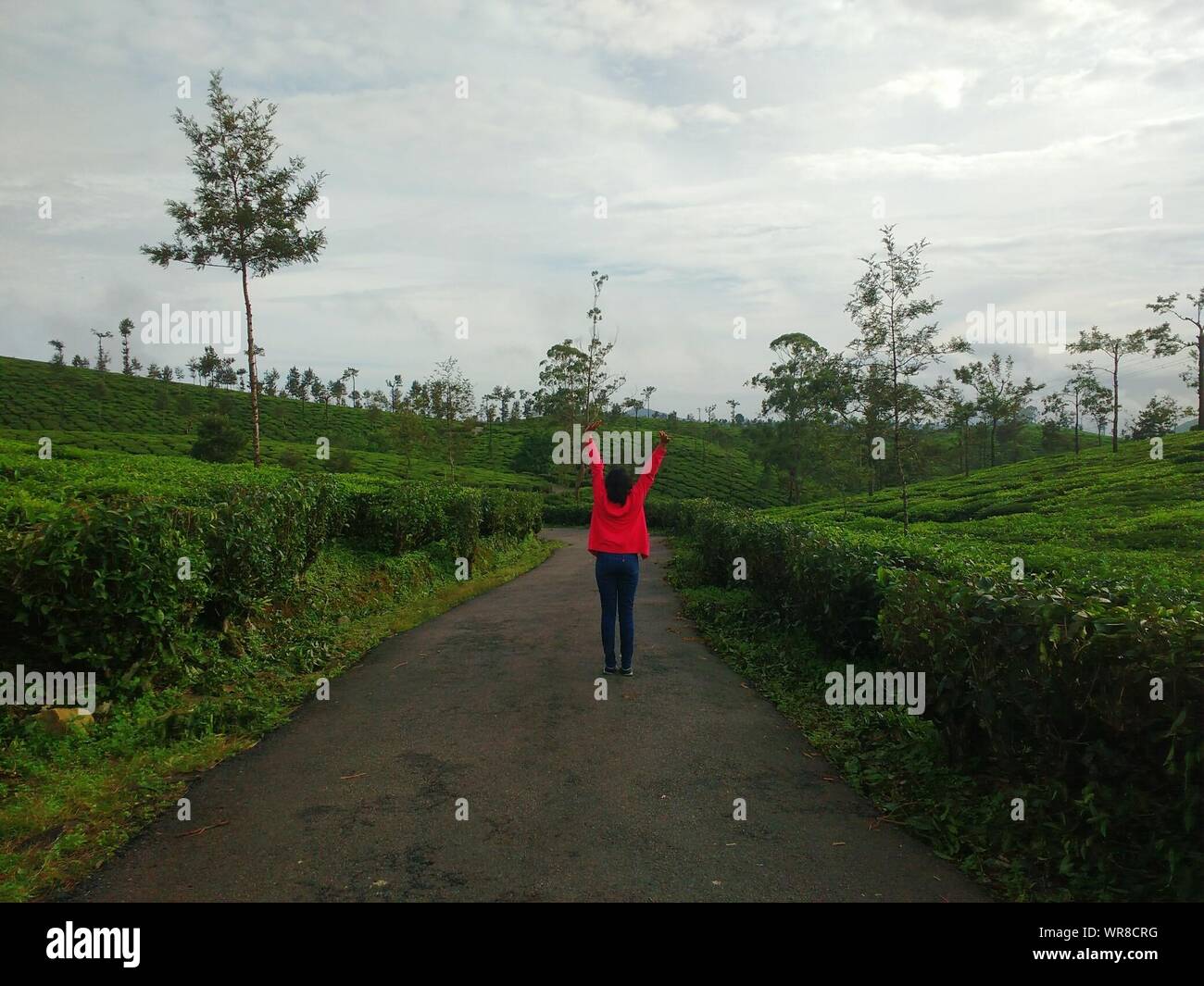 Plantation arms hi-res stock photography and images - Alamy