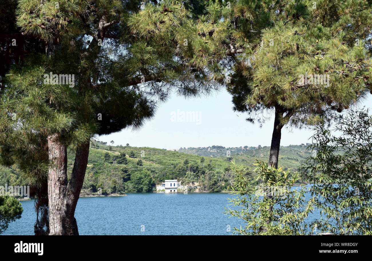 lake, view, water, landscape, trees, plants Stock Photo - Alamy