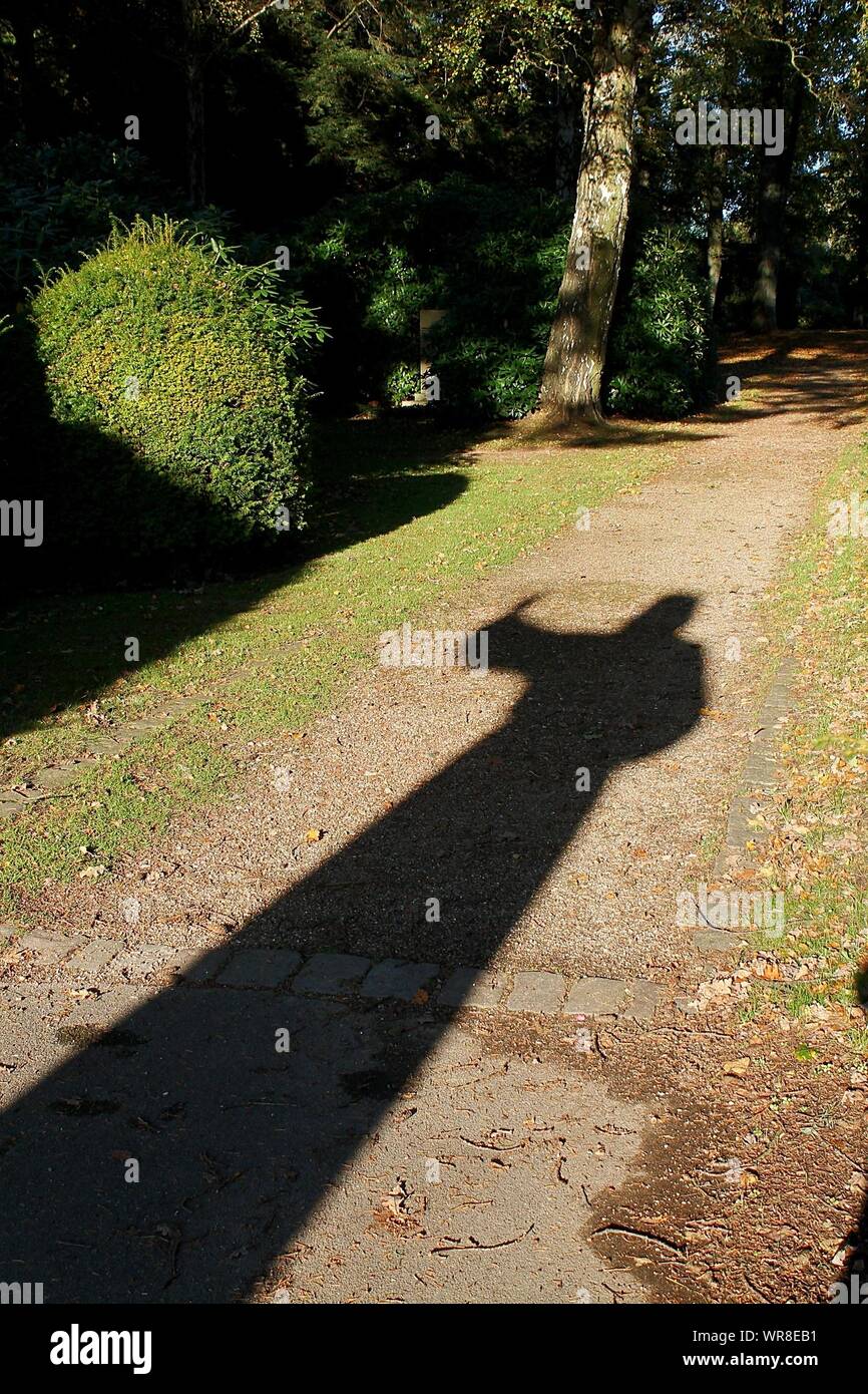 Jesus park hi-res stock photography and images - Alamy