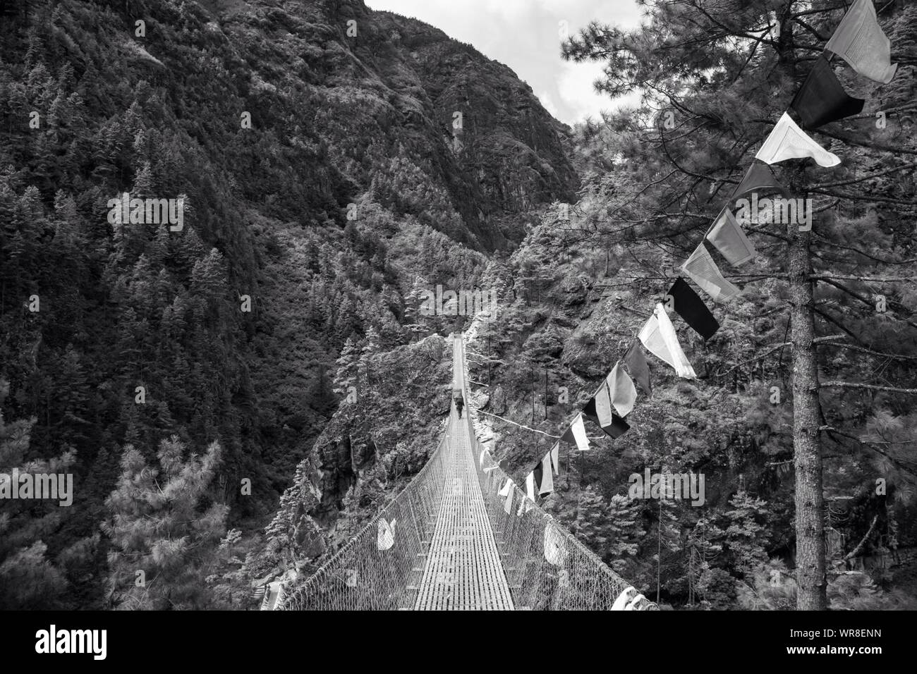 Long narrow flag hi-res stock photography and images - Alamy