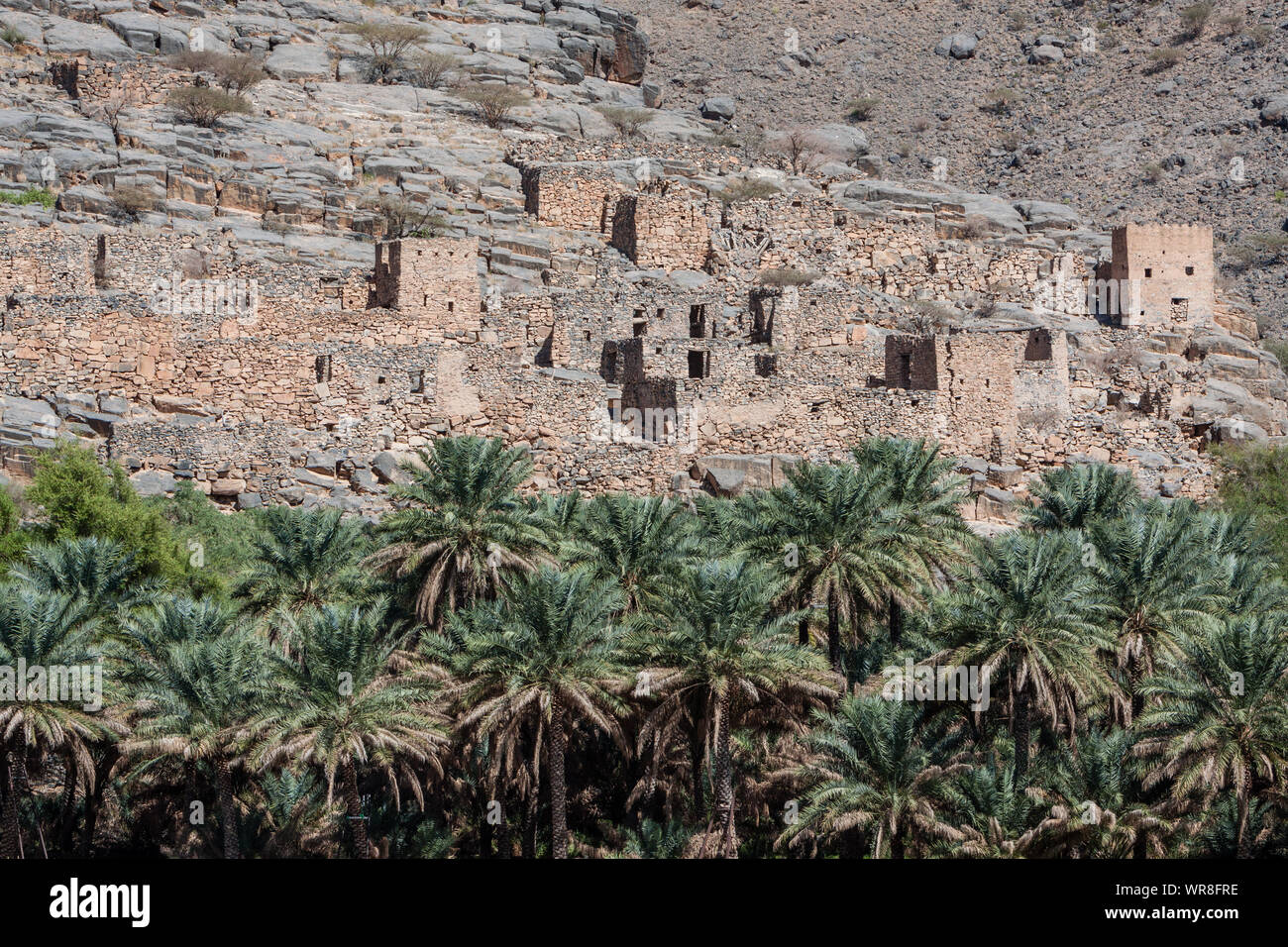 Oman old village with Palms in foreground Stock Photo - Alamy