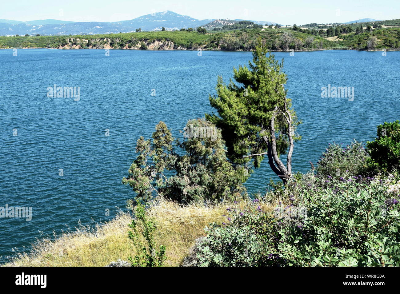 lake, view, water, landscape, trees, plants Stock Photo - Alamy