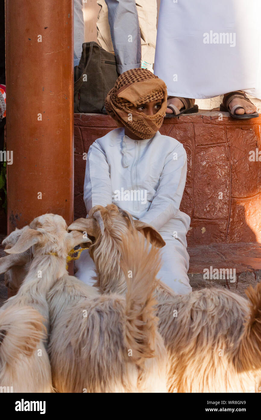 Oman Nizwa goat market Boy with goats Stock Photo - Alamy