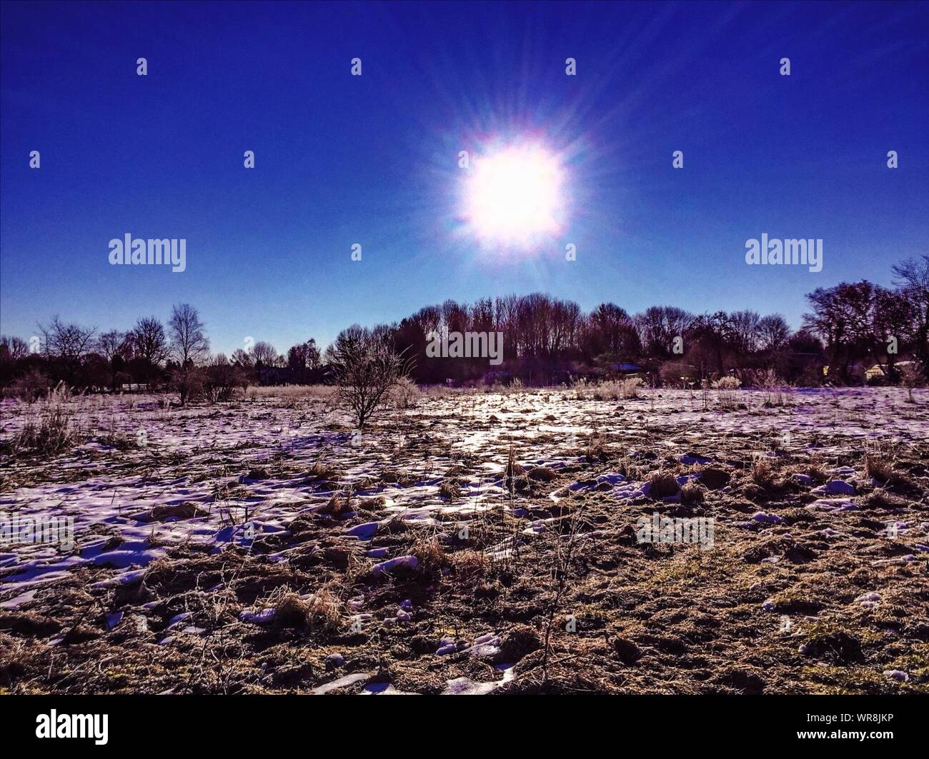 Shining snow hi-res stock photography and images - Alamy