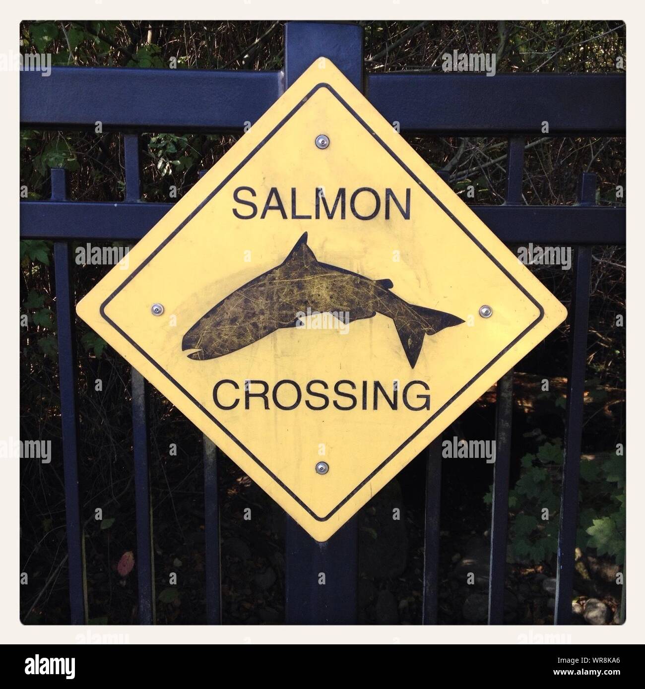 Sing Day High Resolution Stock Photography and Images - Alamy