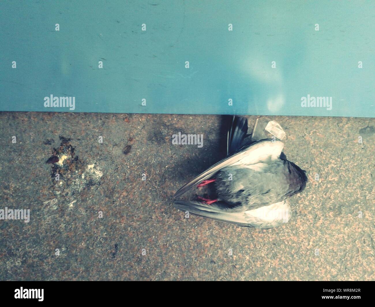 Dead high street hi-res stock photography and images - Alamy