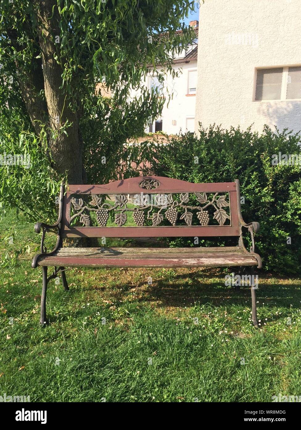 Empty Bench In Backyard Stock Photo - Alamy