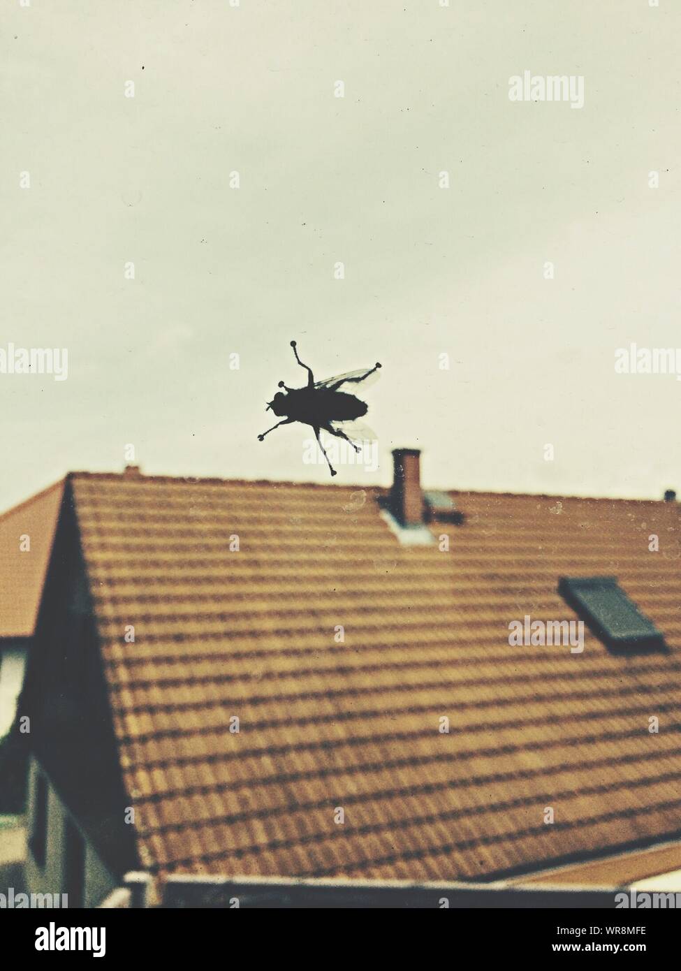 Transparent roof wall hi-res stock photography and images - Alamy