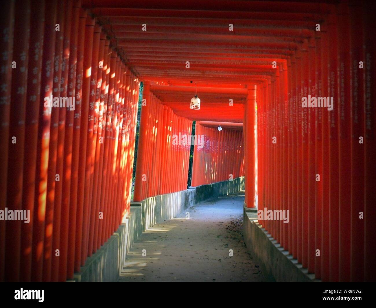 Red corridor hi-res stock photography and images - Alamy