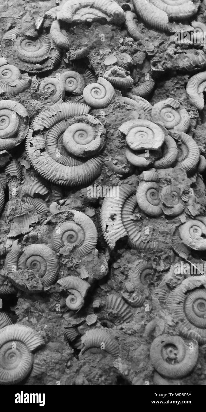 Sand spiral hi-res stock photography and images - Alamy