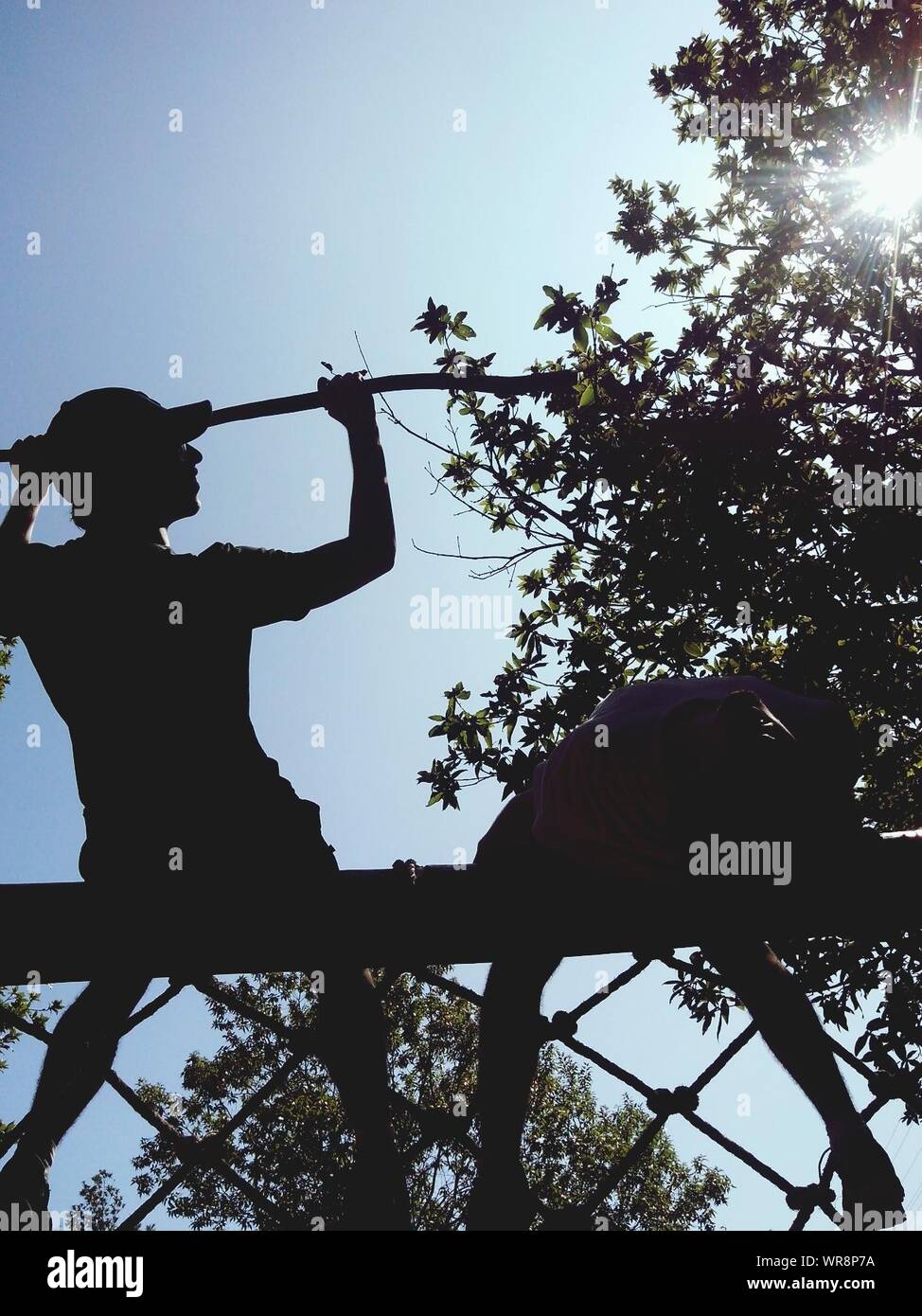 Catch stick hi-res stock photography and images - Alamy