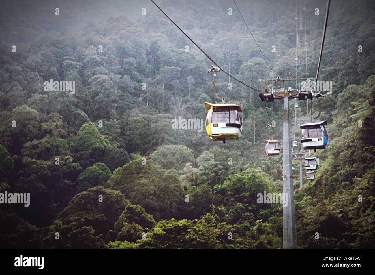 Canopy cable car hi-res stock photography and images - Alamy
