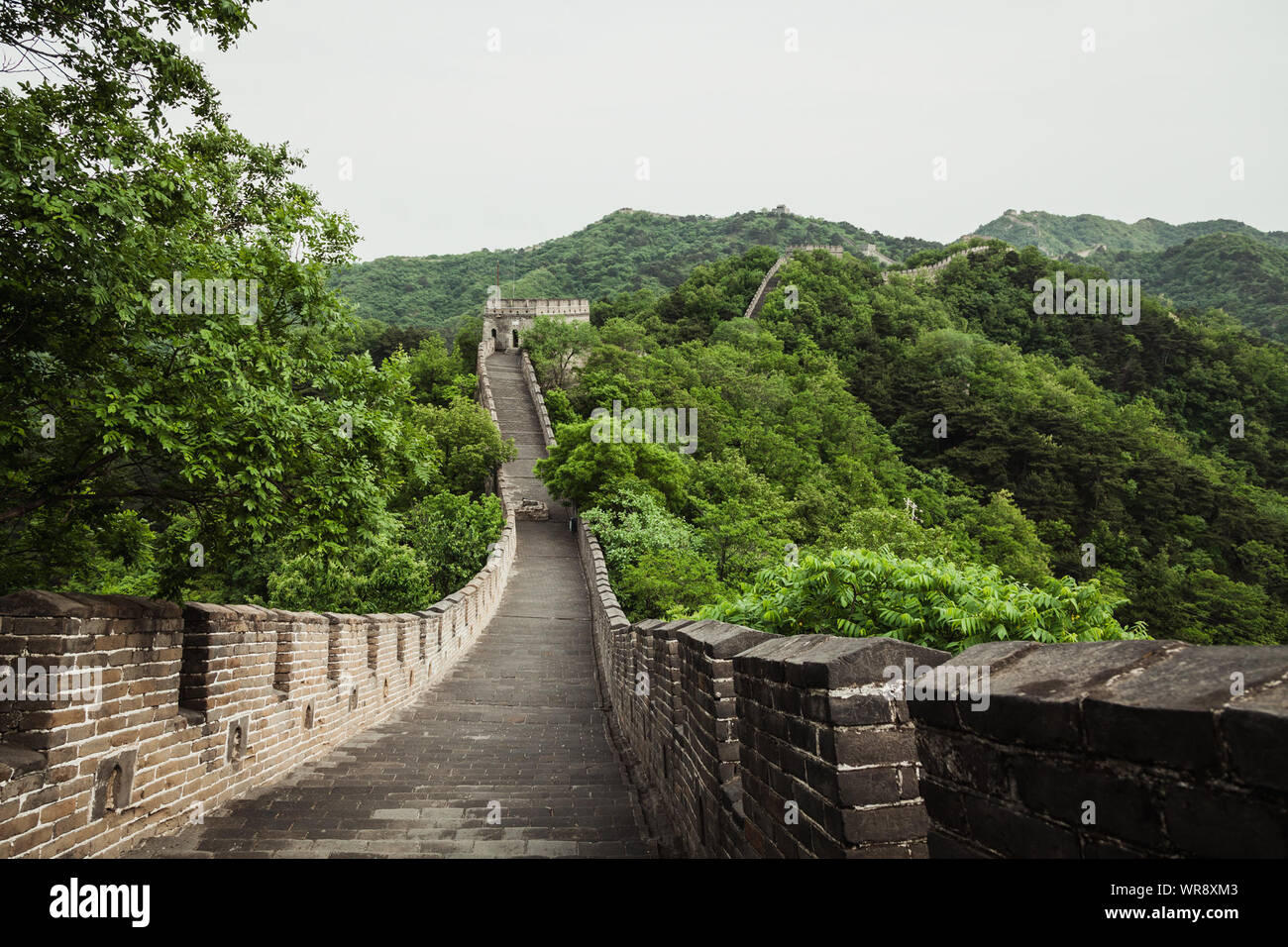 Great green wall china trees hi-res stock photography and images - Alamy