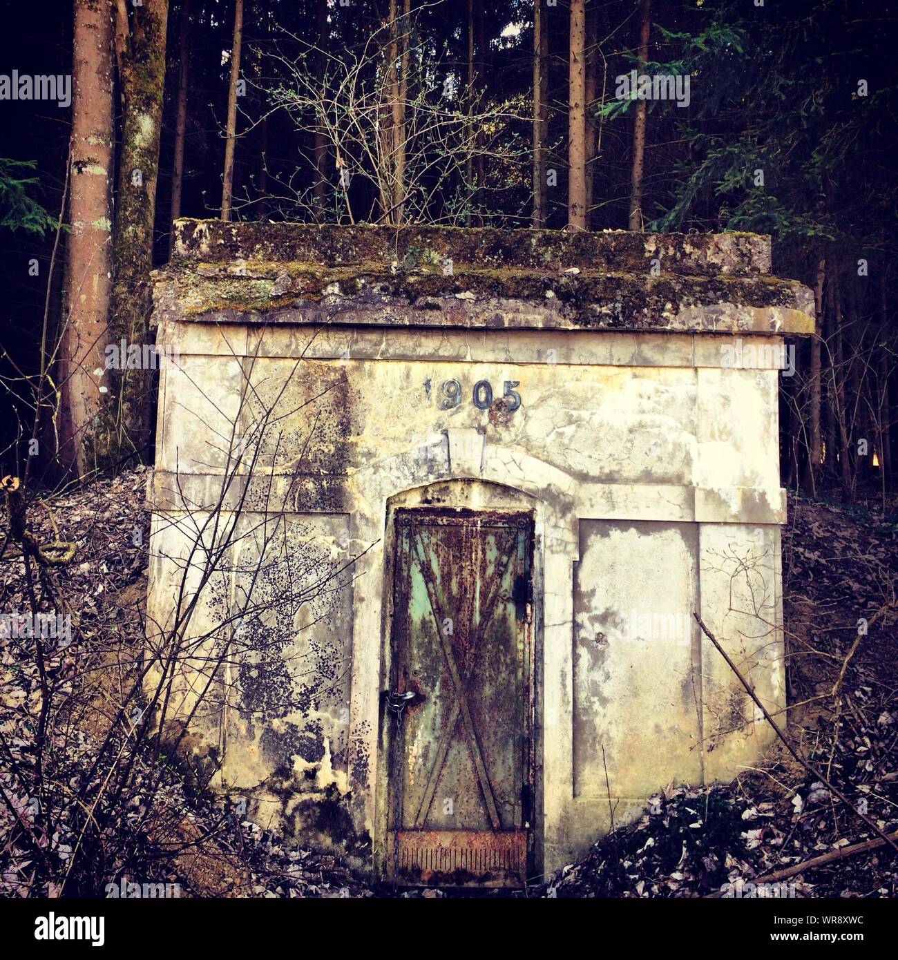 Forest bunker hi-res stock photography and images - Alamy