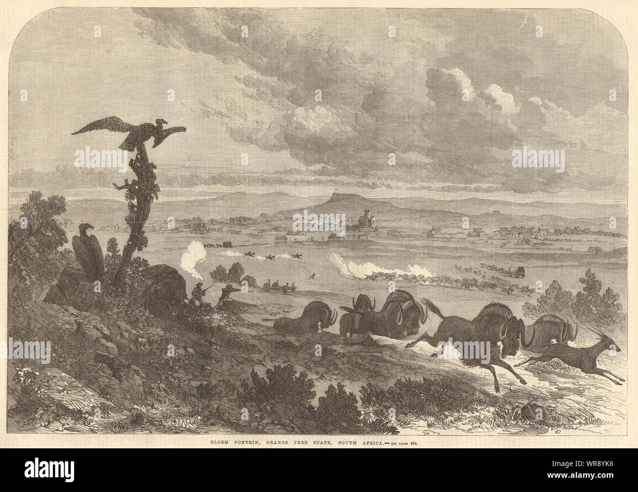 Orange free state south africa hi-res stock photography and images - Alamy