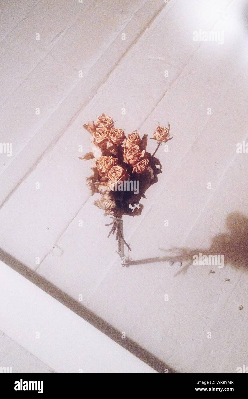 Ceiling roses hi-res stock photography and images - Alamy