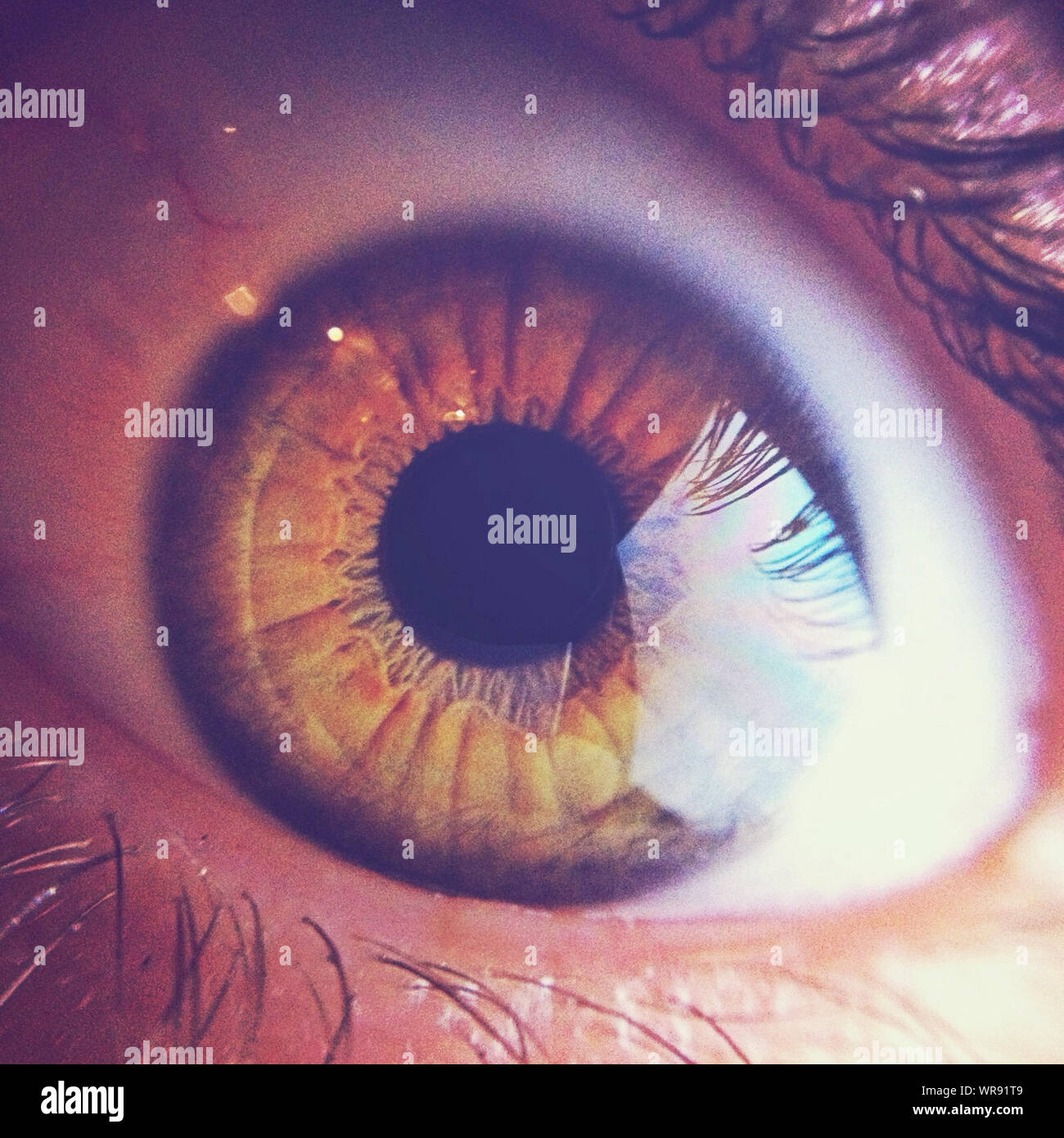 Detail of eye hi-res stock photography and images - Alamy