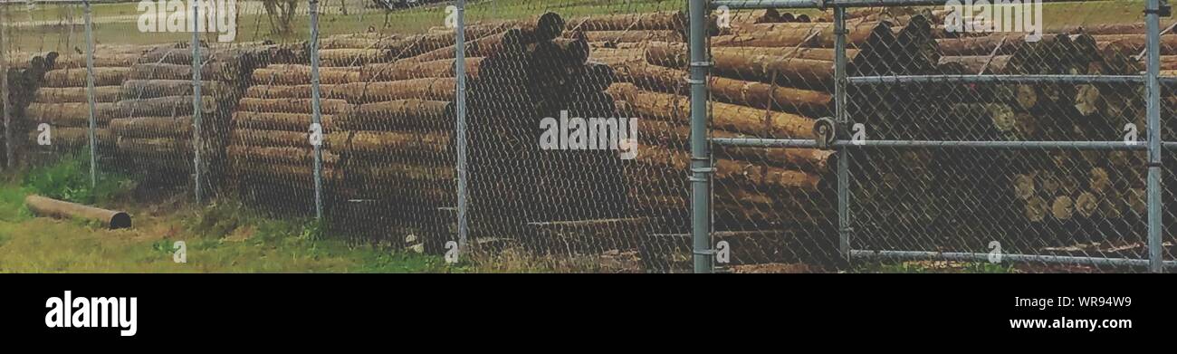 Stacked log fence hi-res stock photography and images - Alamy