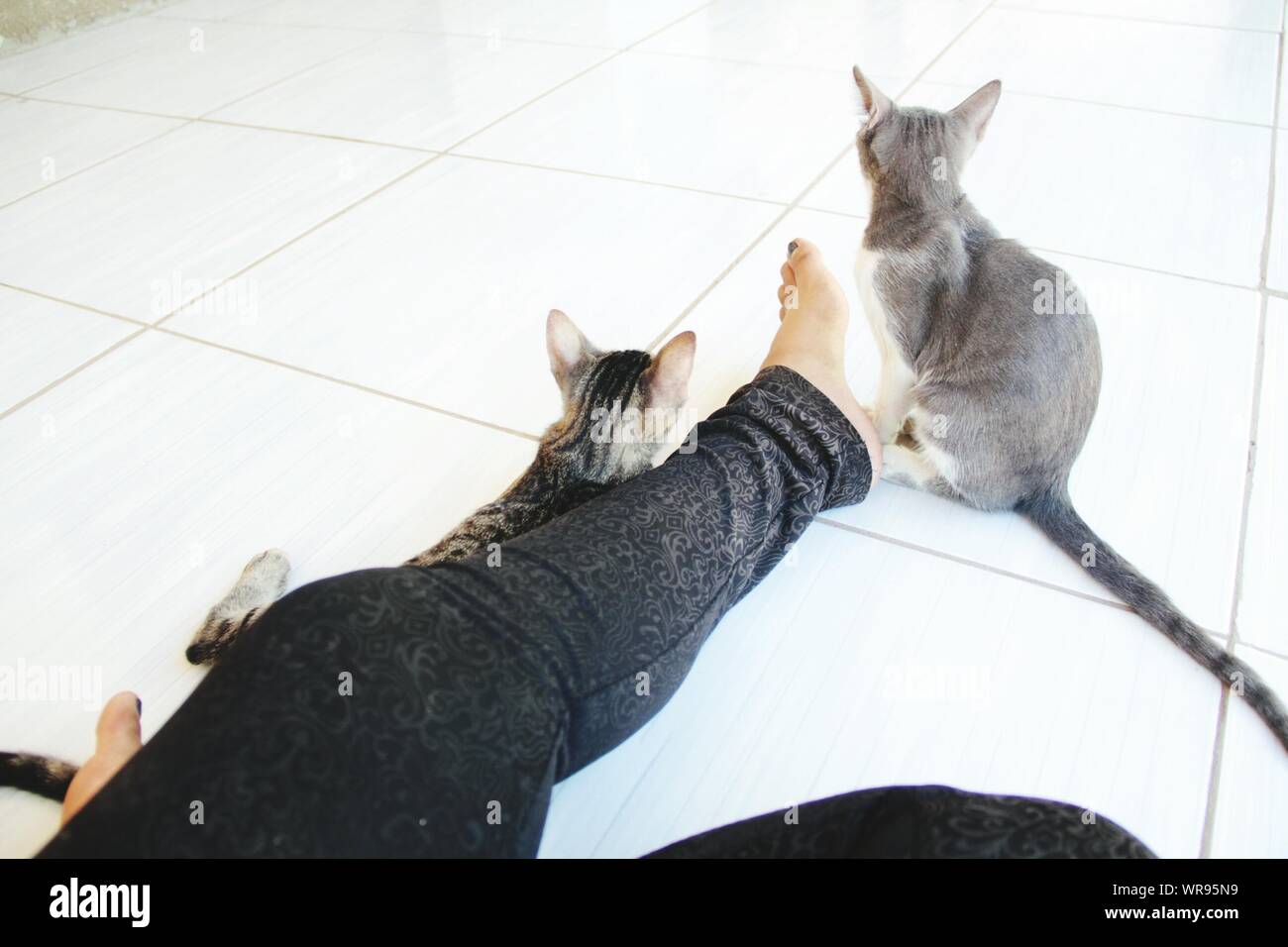 Body part leggings hi-res stock photography and images - Alamy