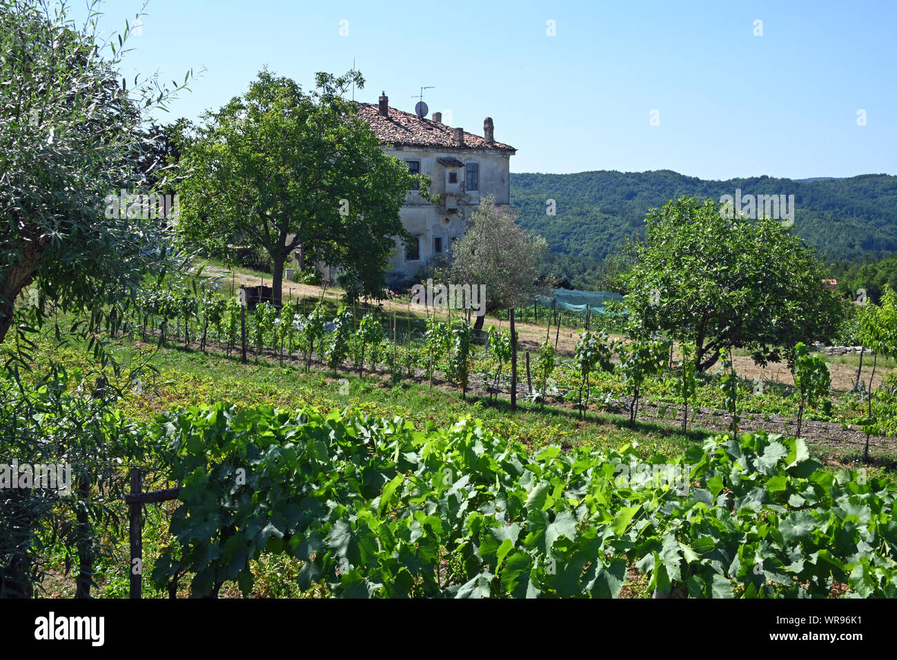 'The world's smallest town', Hum, in Croatia Stock Photo - Alamy
