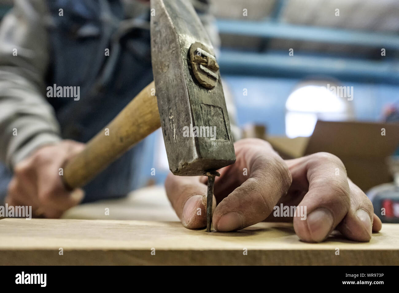 Carpenter hands with hammer and nail. Close up view. DIY concept Stock ...