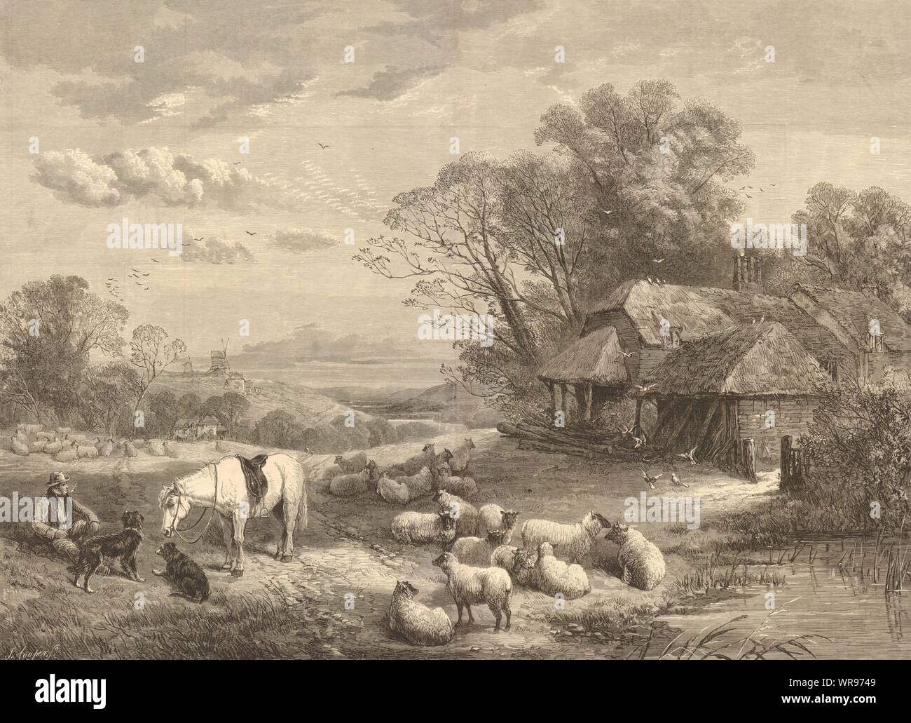 The drover hi-res stock photography and images - Alamy