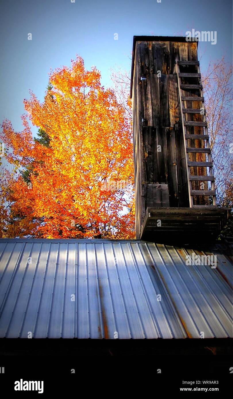 Ladder against house hi-res stock photography and images - Alamy