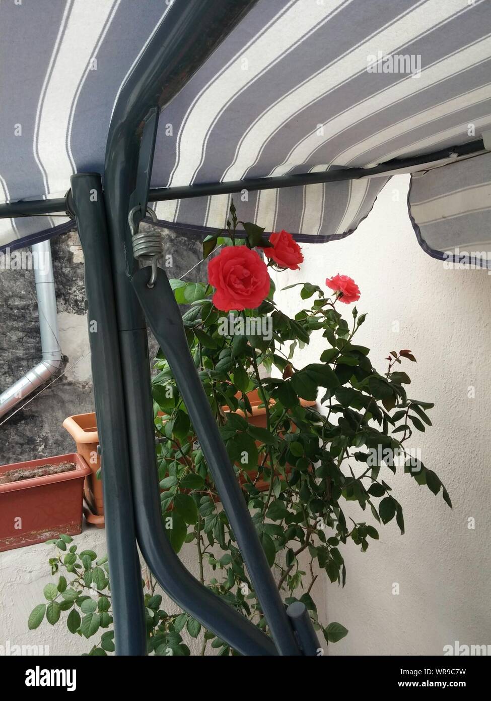 Shade House High Resolution Stock Photography and Images - Alamy