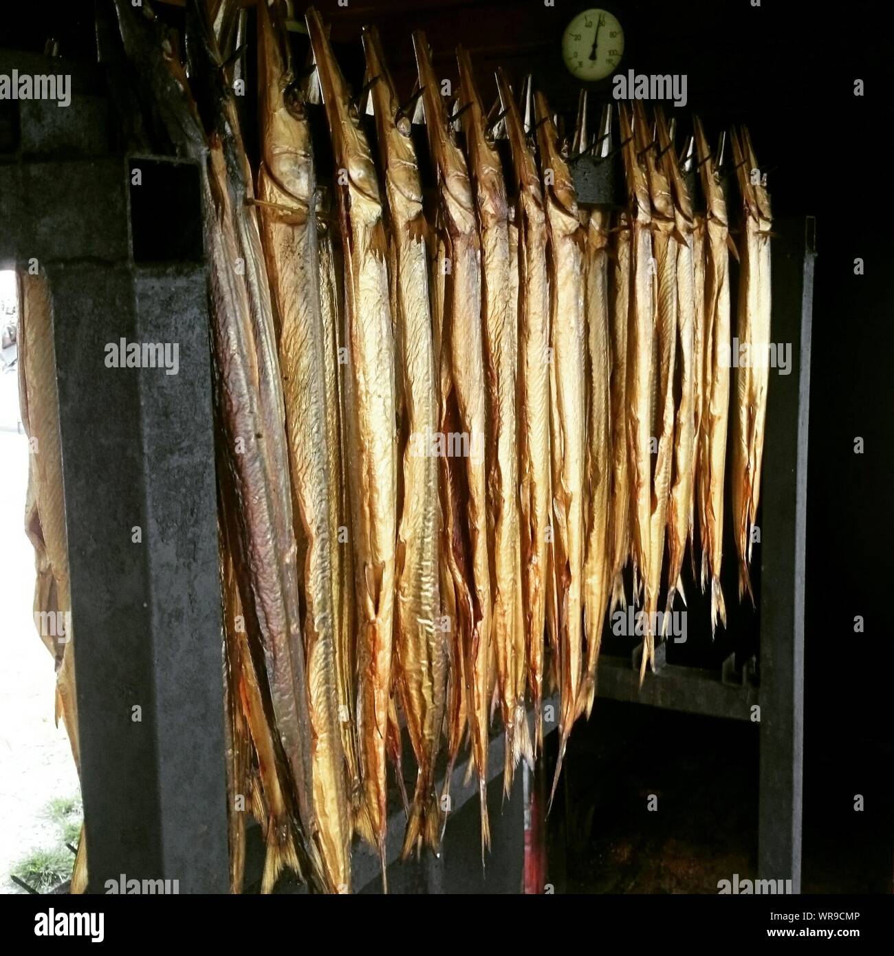 Drying Fish Stock Photos & Drying Fish Stock Images - Alamy