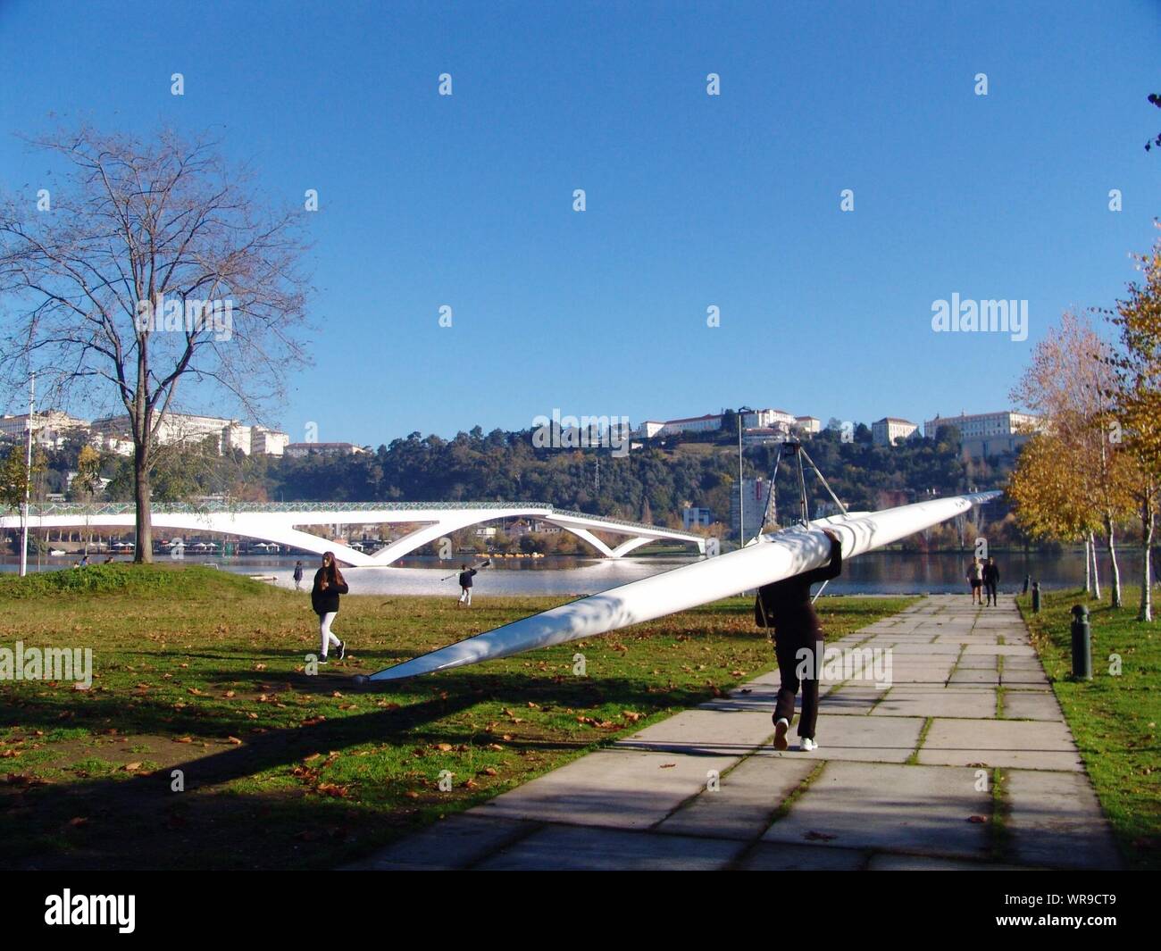 Scull sculling boat hi-res stock photography and images - Alamy