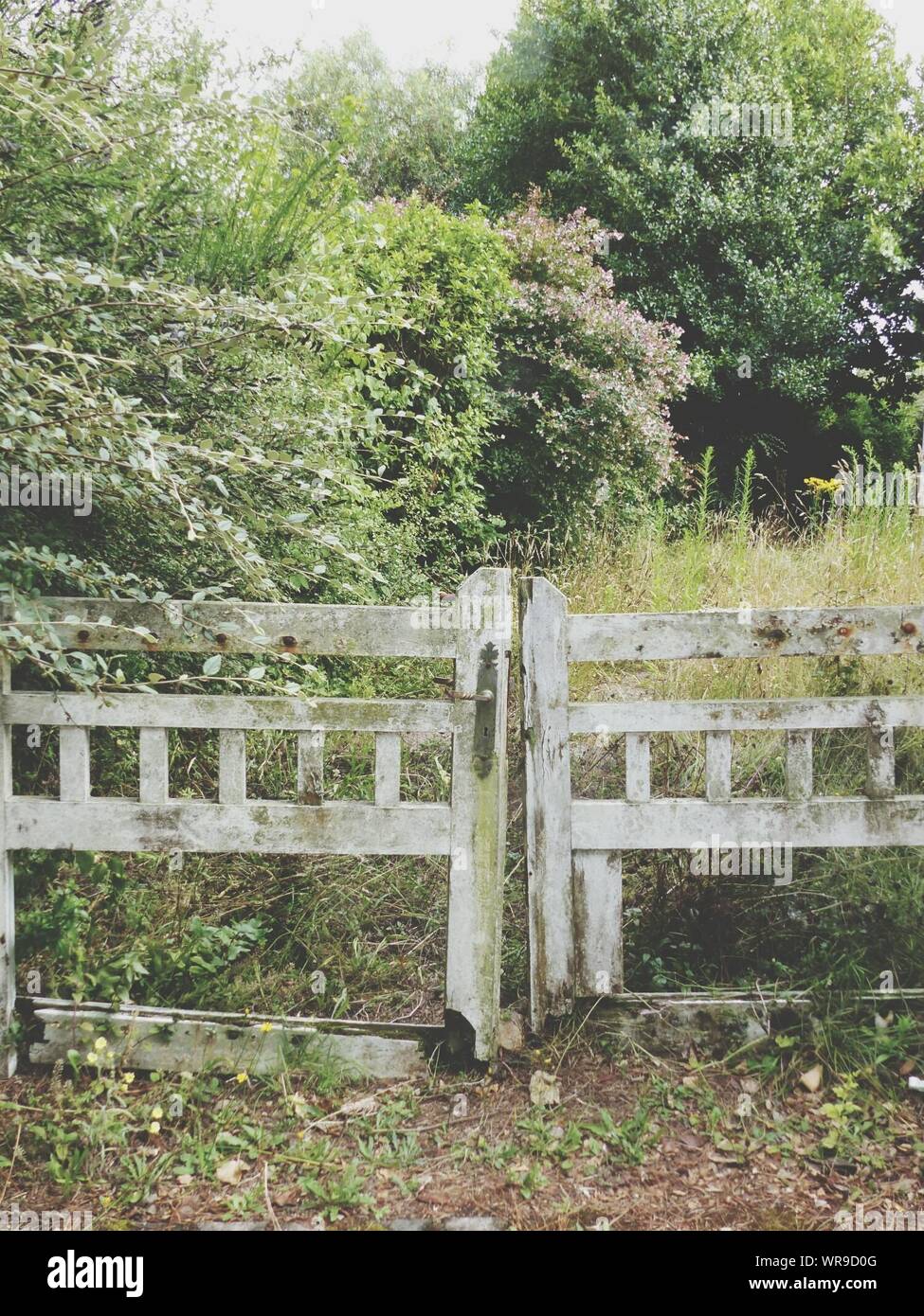 Old abandoned gate hi-res stock photography and images - Alamy