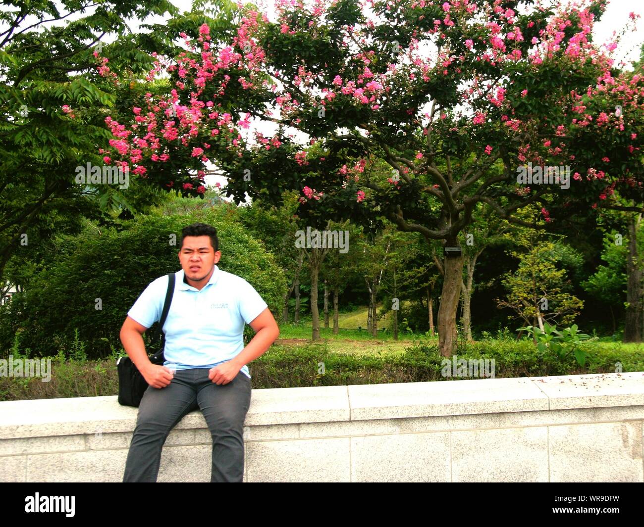 Man Sitting On Retaining Wall Against Trees At Park Stock Photo - Alamy