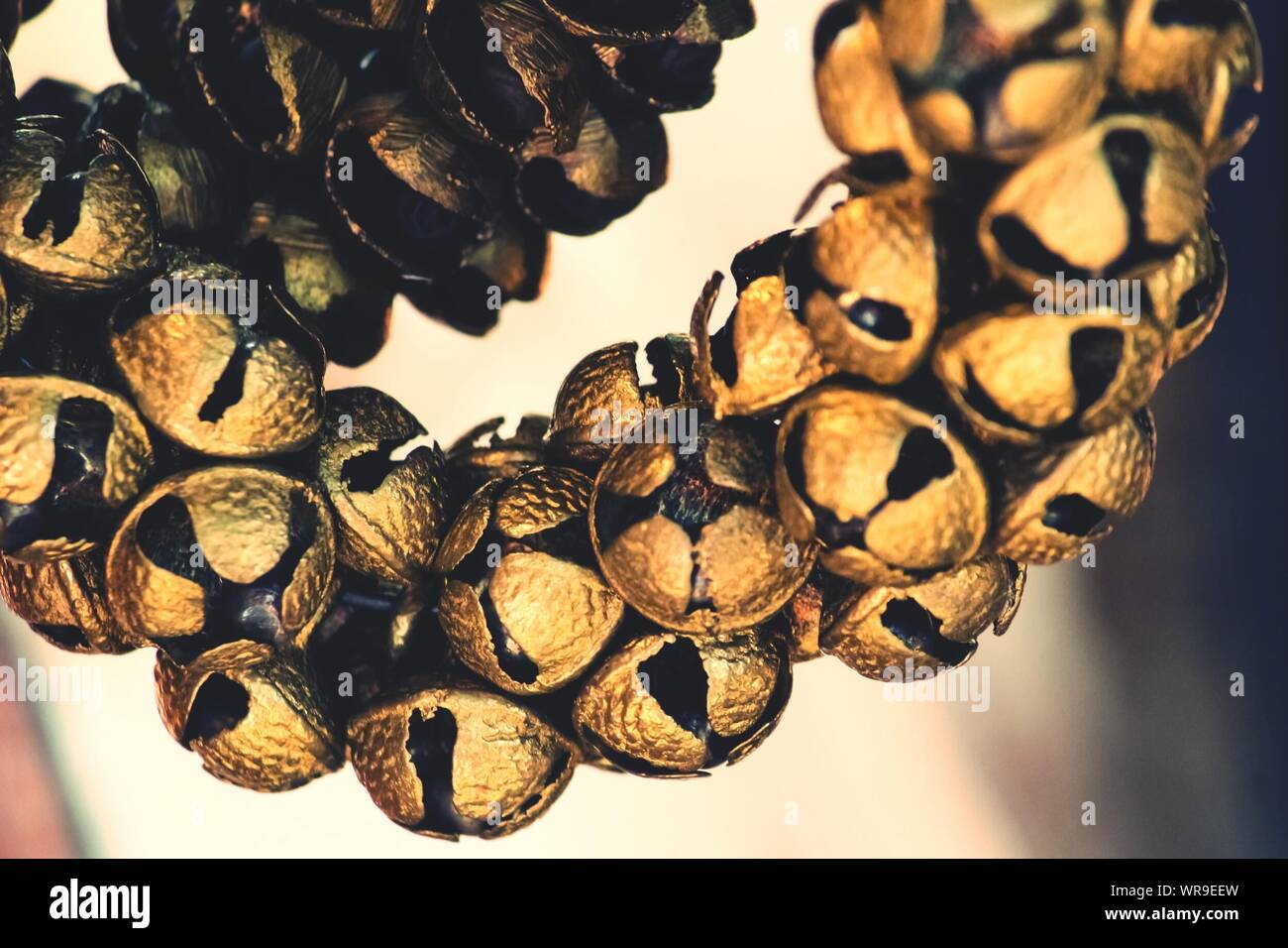 Ghungroos hi-res stock photography and images - Alamy