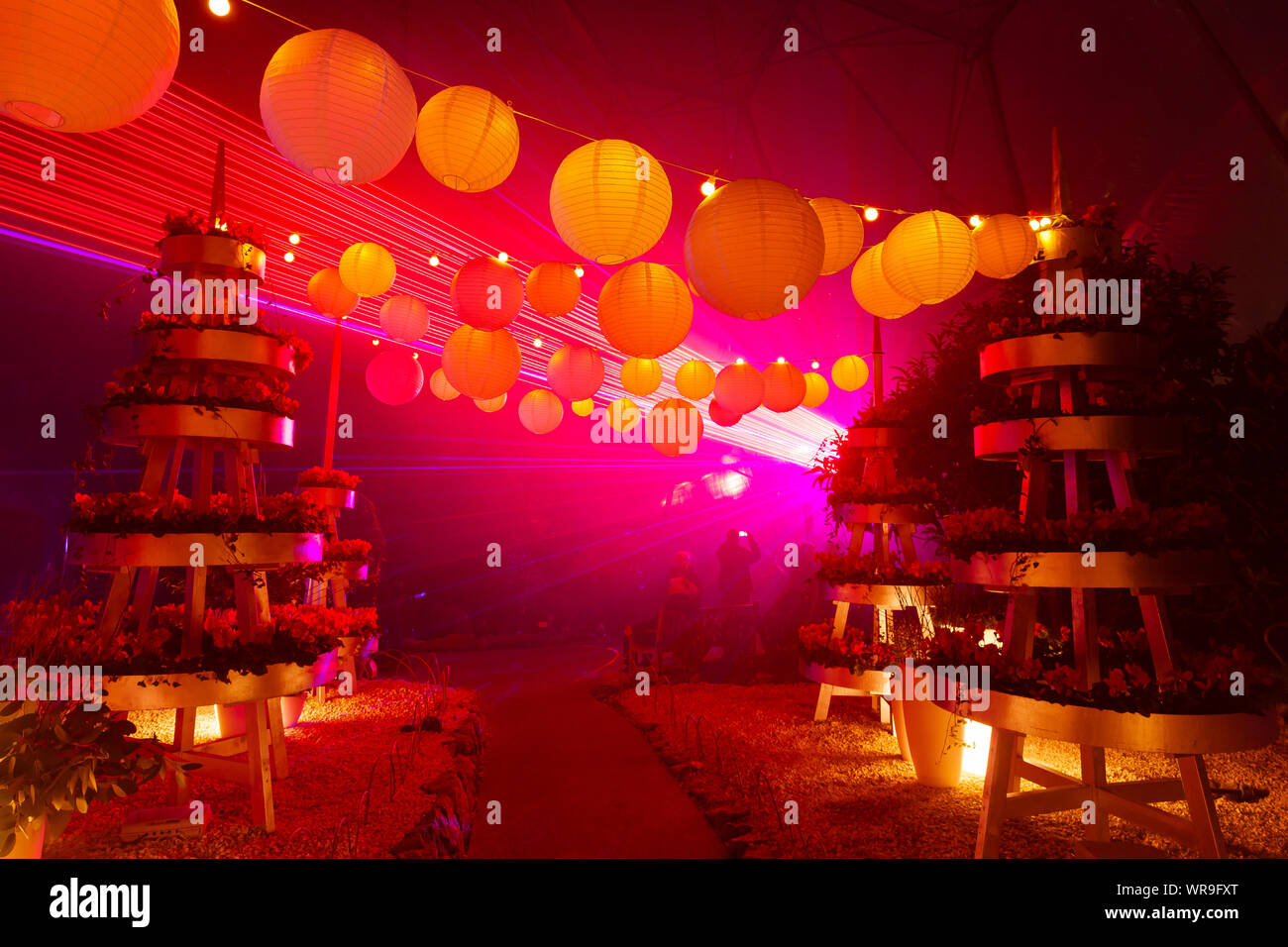 Eden Project, The Festival of Light and Sound 2017, Bodelva, Cornwall ...