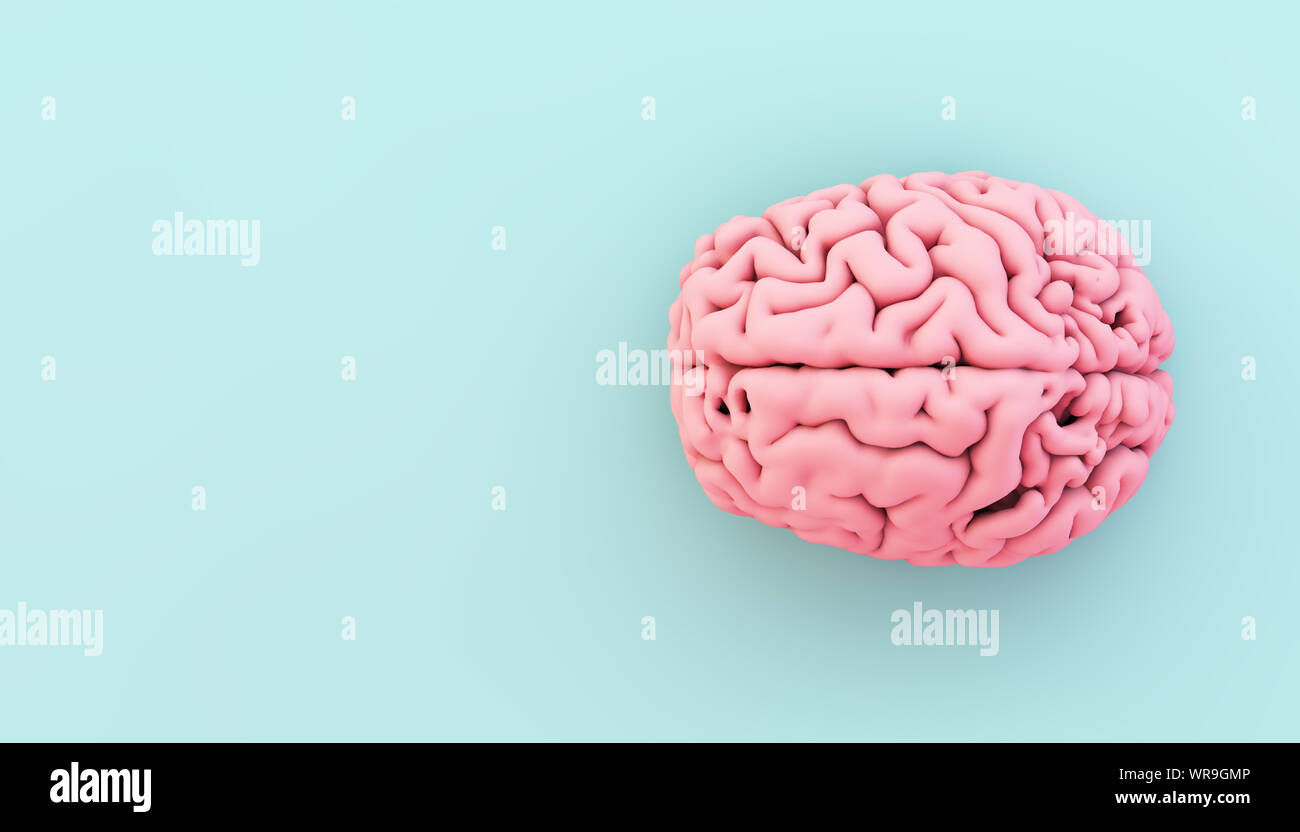 minimal pink brain on blue background 3d rendering Stock Photo - Alamy