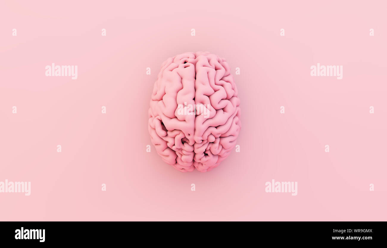 minimal pink brain 3d rendering Stock Photo - Alamy