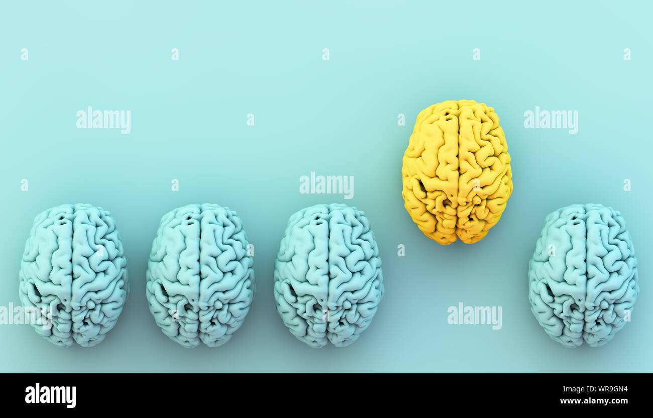 Vintage brain anatomy hi-res stock photography and images - Alamy