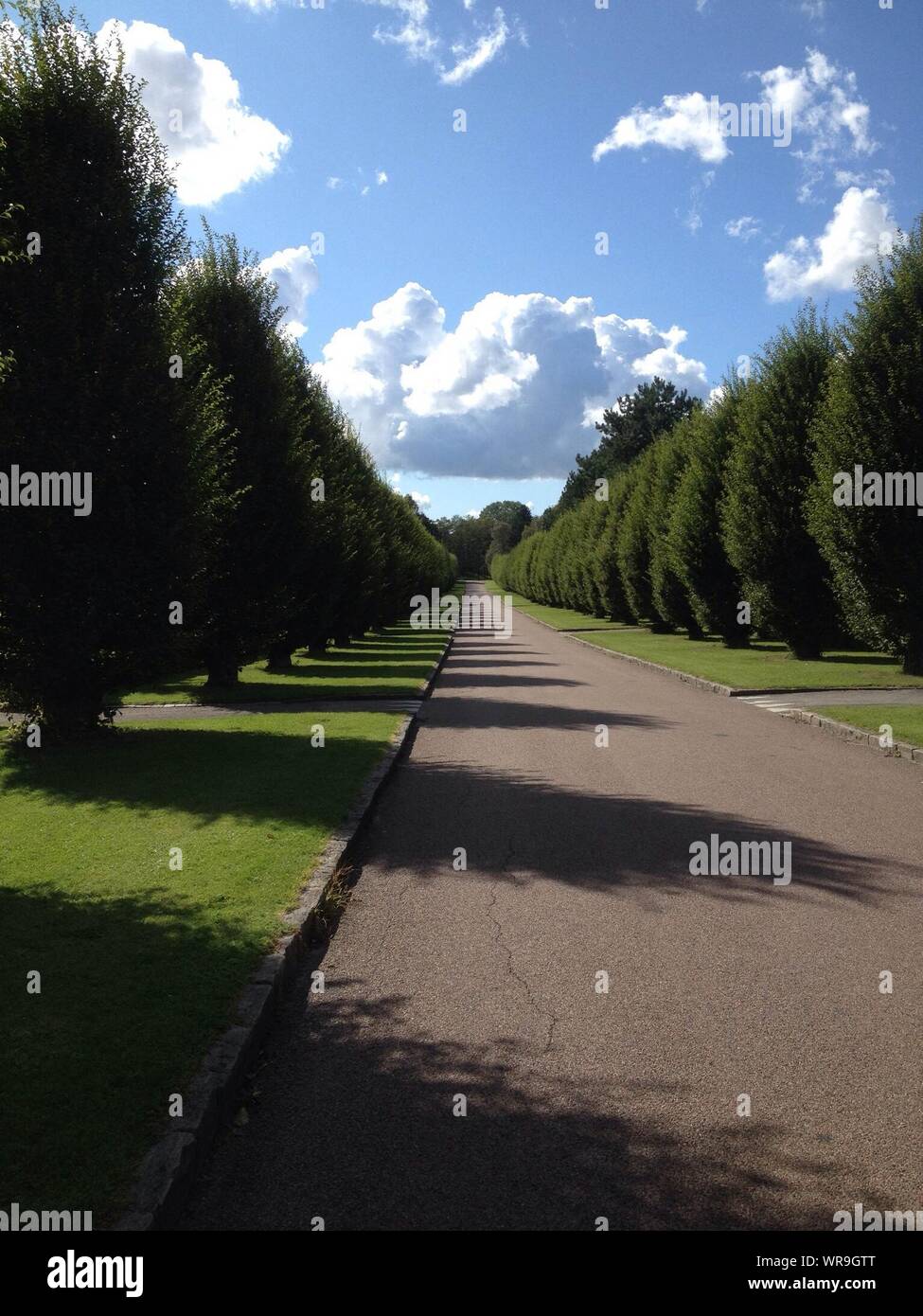 Empty park pathway hi-res stock photography and images - Alamy