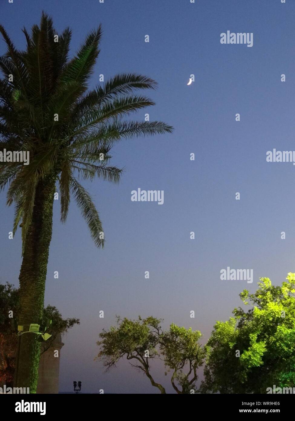 Crescent Moon Tree Silhouette High Resolution Stock Photography and ...
