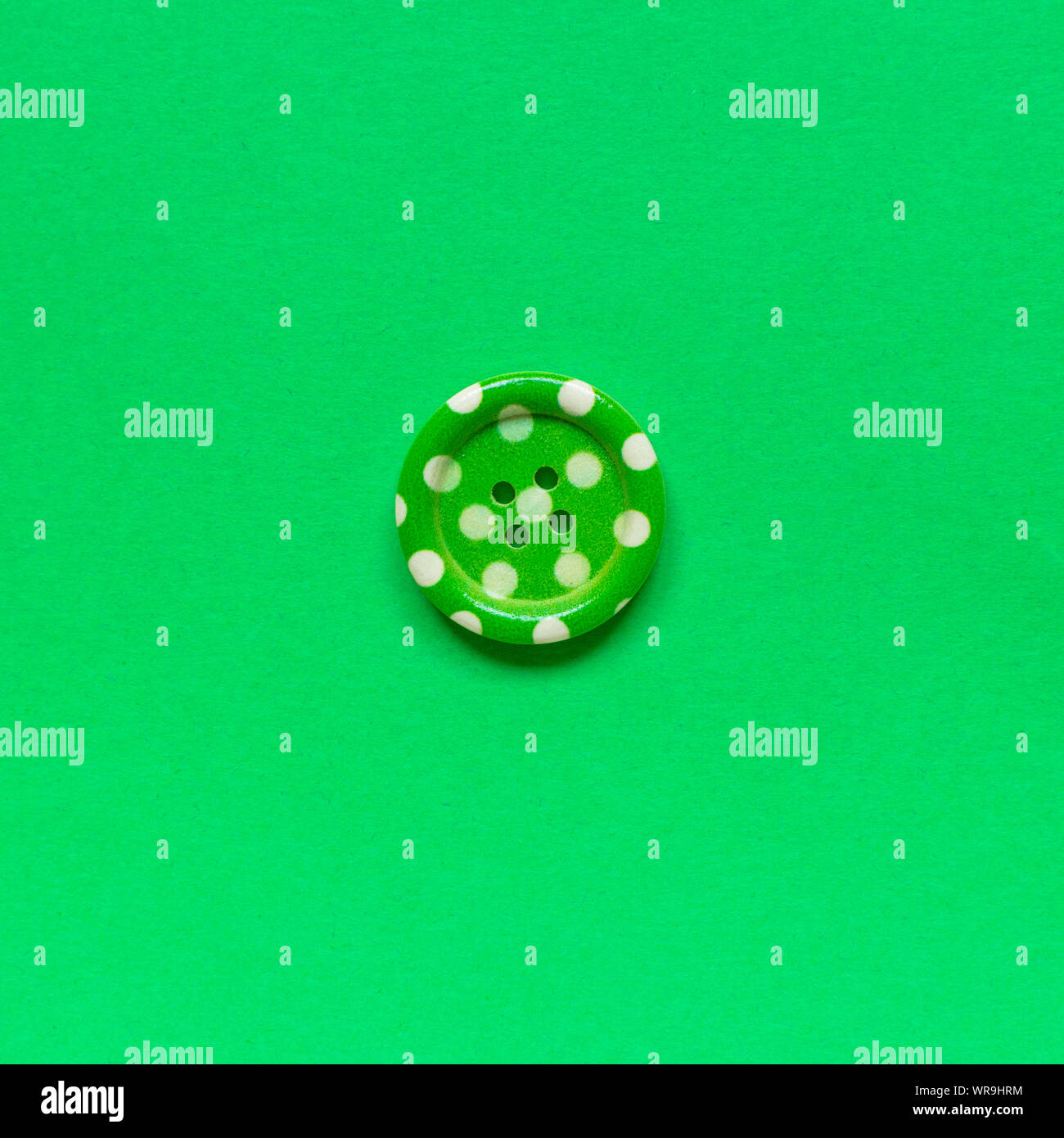 Single green sewing button with dots on green background Stock Photo ...
