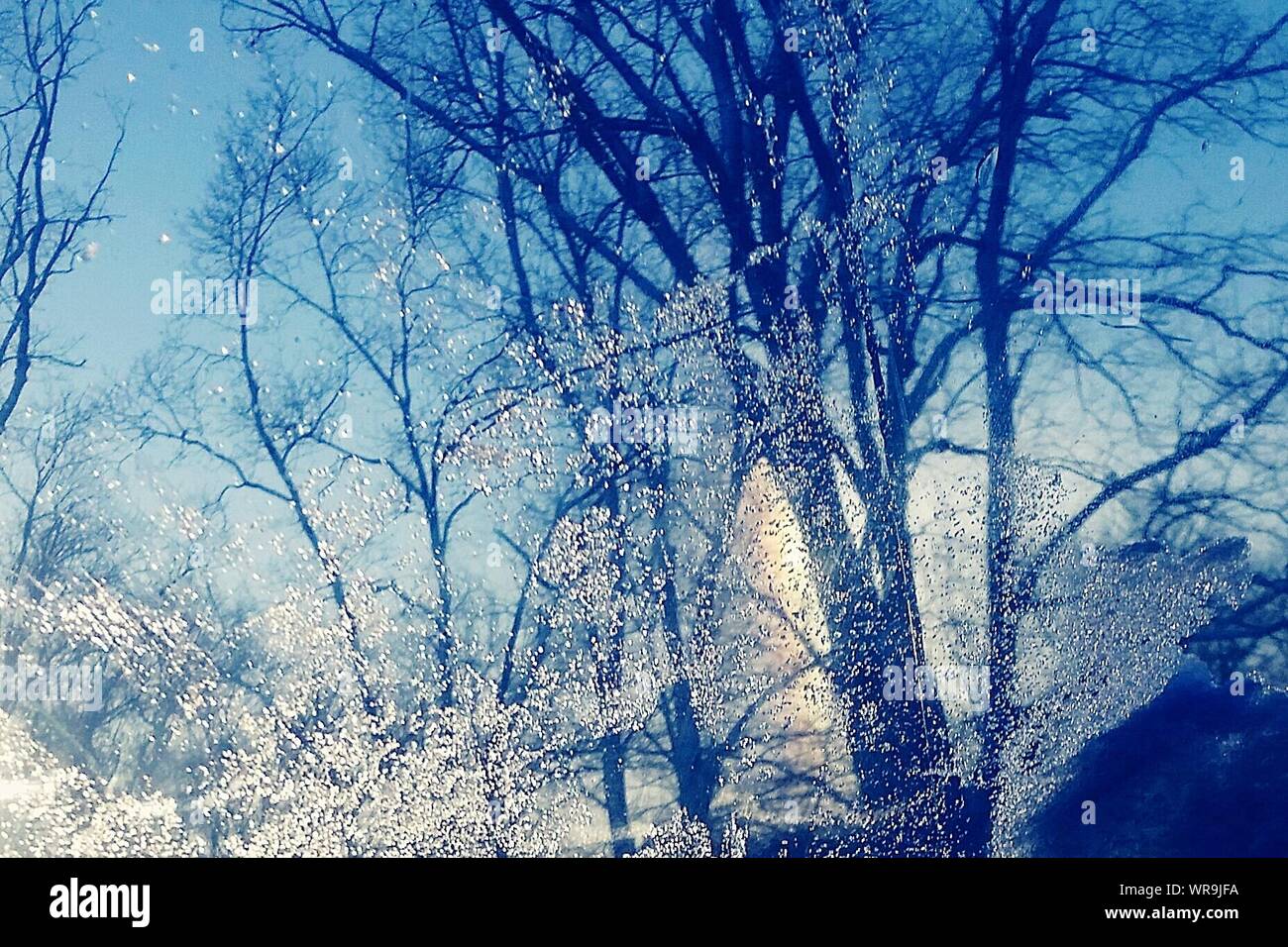 Snowfall transparent hi-res stock photography and images - Alamy