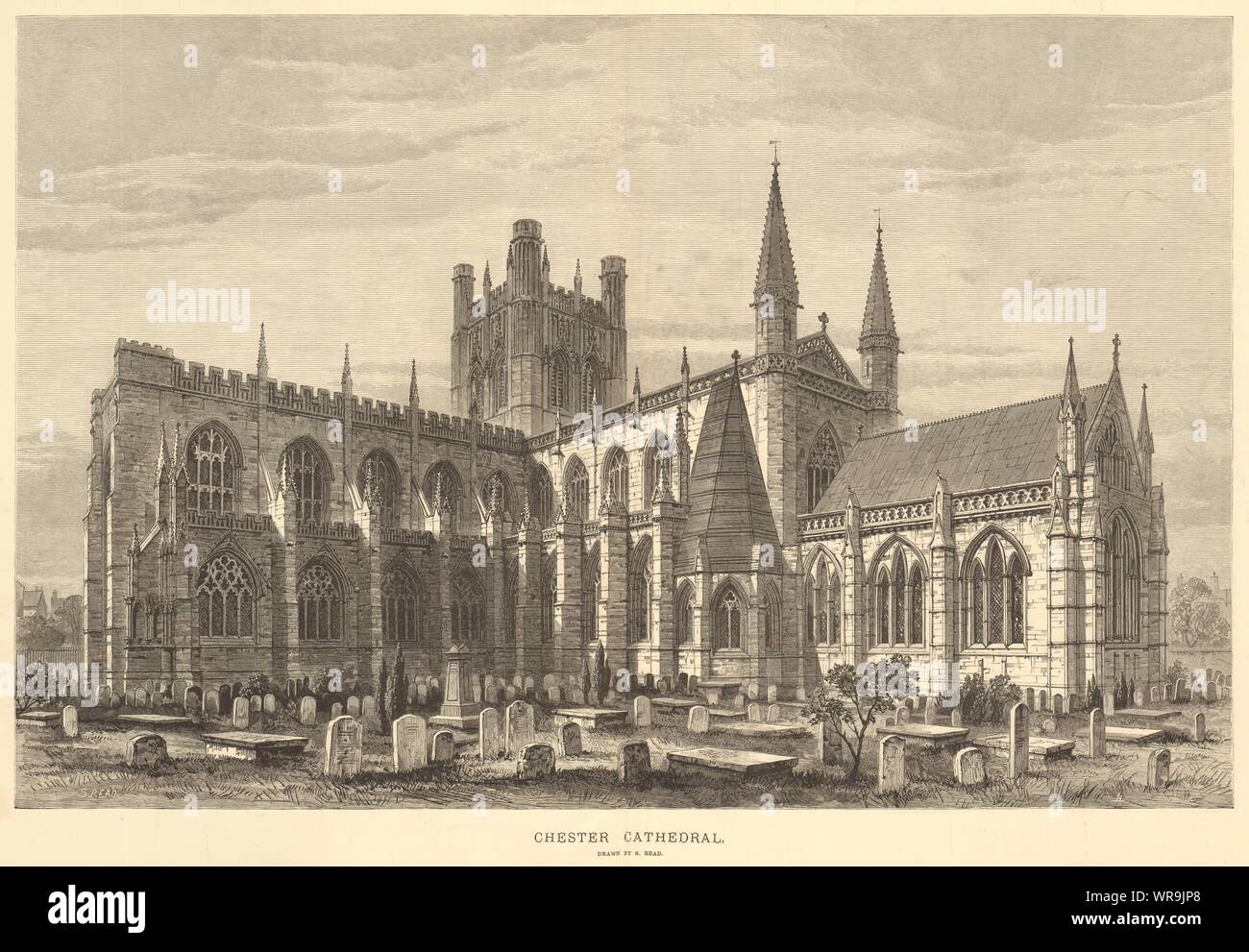 Chester Cathedral. Drawn by S. Read. Cheshire. Churches 1881 antique ...