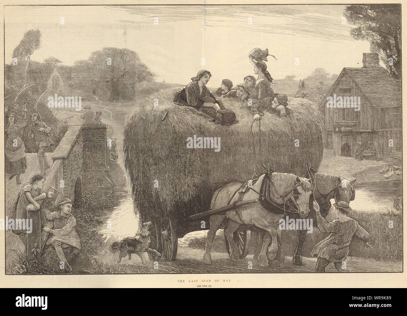 Load of hay hi-res stock photography and images - Alamy