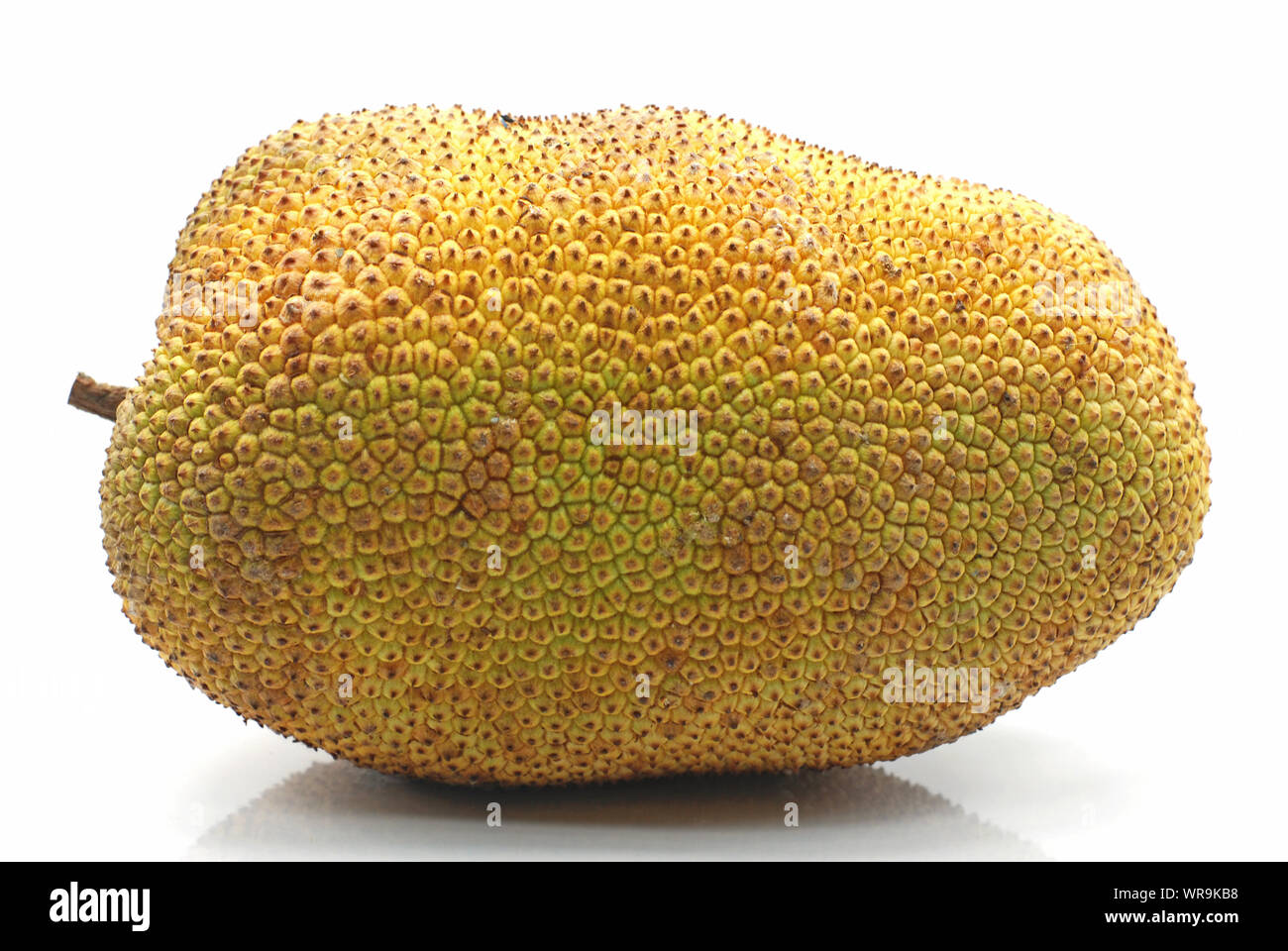 Fresh jackfruit cut out isolated on white background Stock Photo - Alamy